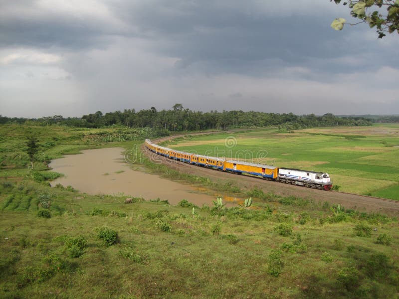 Train Passing through Rice Field in Rangkasbitung Stock Image - Image ...