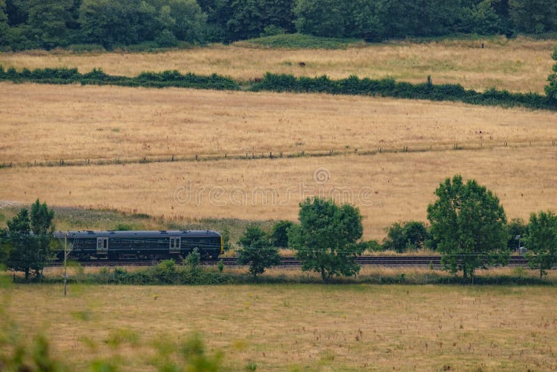 Train Passing Yellow Grass Fields in England Stock Photo - Image of ...