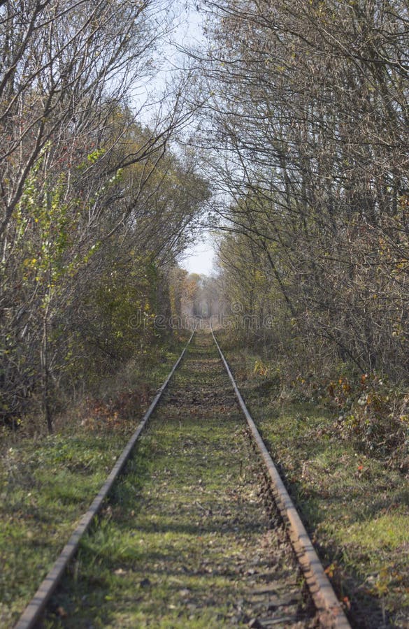Train Path Thtough Forest Stock Photos - Free & Royalty-Free Stock ...