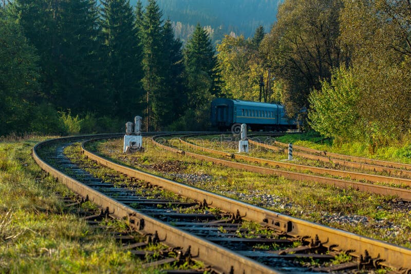 Train on Railroad Tracks in the Forest Stock Image - Image of road ...