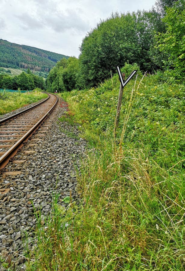Train rails and trees stock image. Image of forest, landscape - 227352785