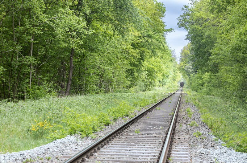 Train on Railway in Green Forest between Trees Stock Photo - Image of ...
