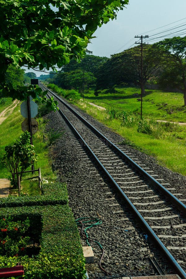 Train railway stock photo. Image of long, train, protrait - 63564328
