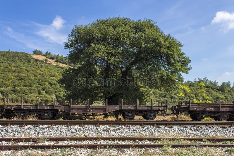Train railway on nature stock photo. Image of train, track - 40722446