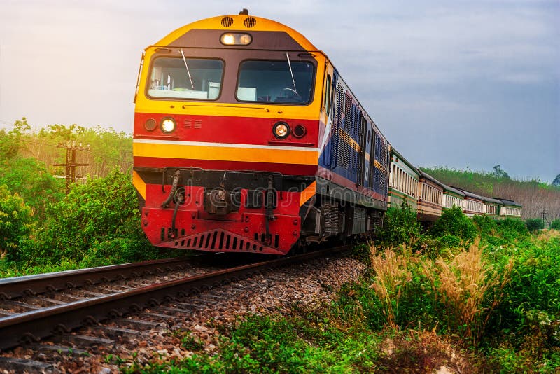 Train on Railway Transportation in Forest and Color of Sunset Stock ...