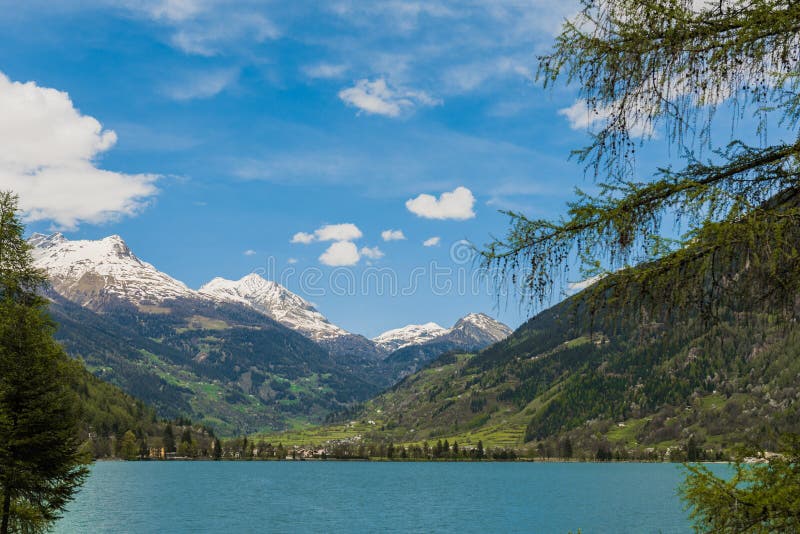 Train Ride in the Swiss Alps, with Company Stock Image - Image of rails ...