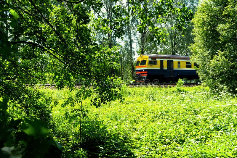 The Train Rides through the Forest Stock Image - Image of forest ...