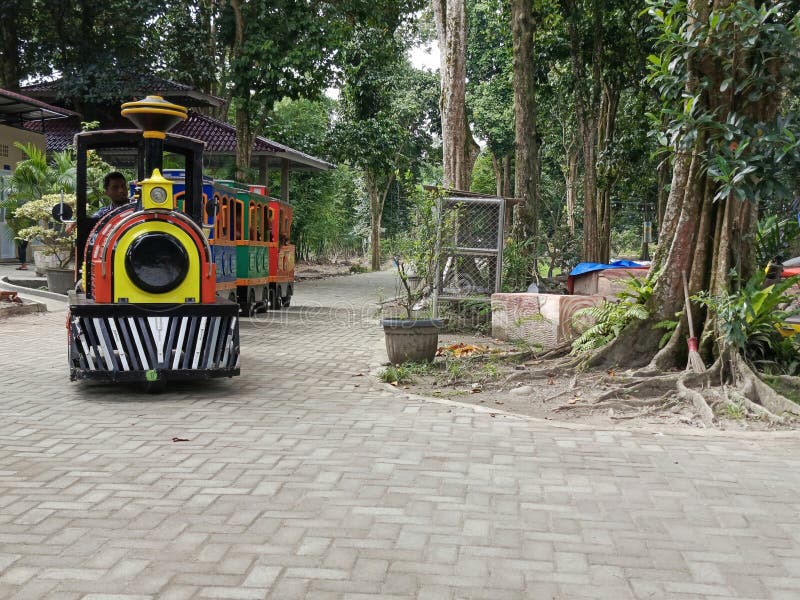 Train Rides in the Playground Editorial Photography - Image of plant ...