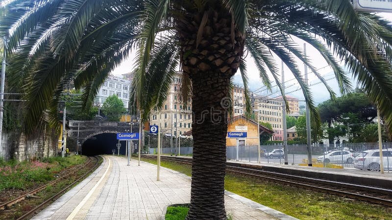 Train Station stock photo. Image of camogli, train, palm - 116919392