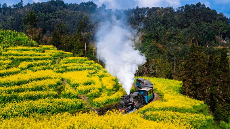 Train to Spring stock photo. Image of asphalt, faster - 244260470