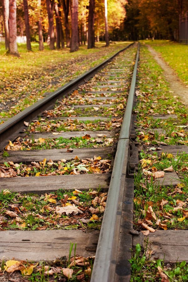 Autumn Leaves on a Railroad Bridge in York County, Pennsylvania. Stock ...