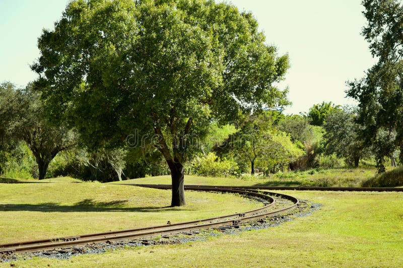 Train track around a tree editorial photo. Image of tampa - 84604771