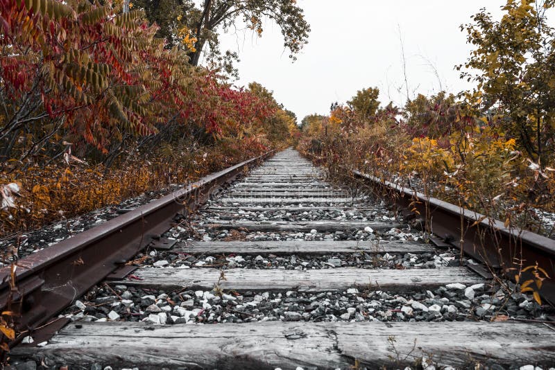 Train track in autumn stock photo. Image of nature, places - 199824174