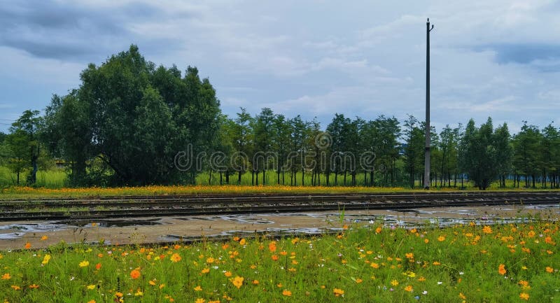 Train Track and a Canal Going through the Field Stock Photo - Image of ...
