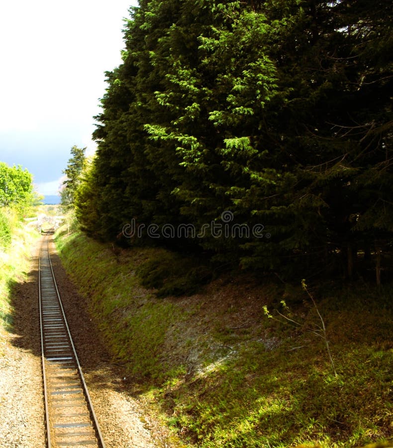 The train track in Evaton stock photo. Image of road - 316139552