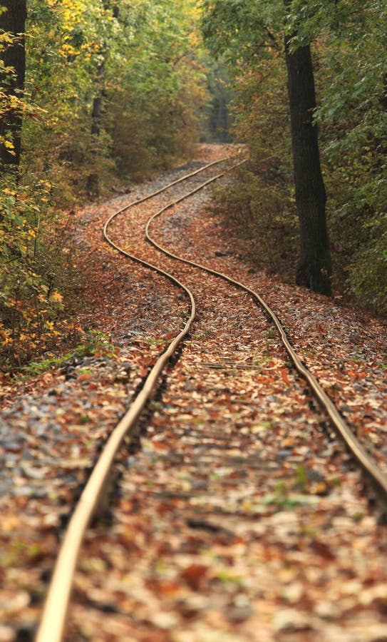 Train track in forest stock photo. Image of autumn, bend - 12495102