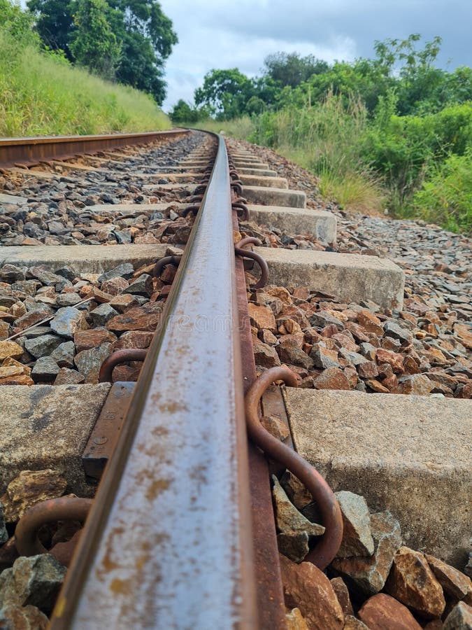 Train Track with Green Grass and Trees Stock Image - Image of track ...