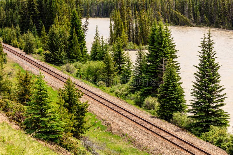 A Train Track Runs through a Forest with Trees on Both Sides Stock ...