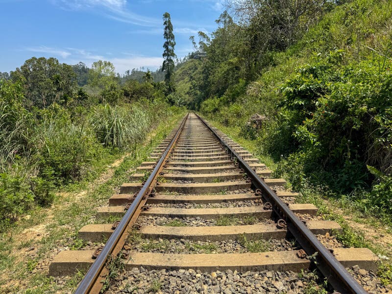 Train Track Shown Lush Green Forest Stock Photos - Free & Royalty-Free ...