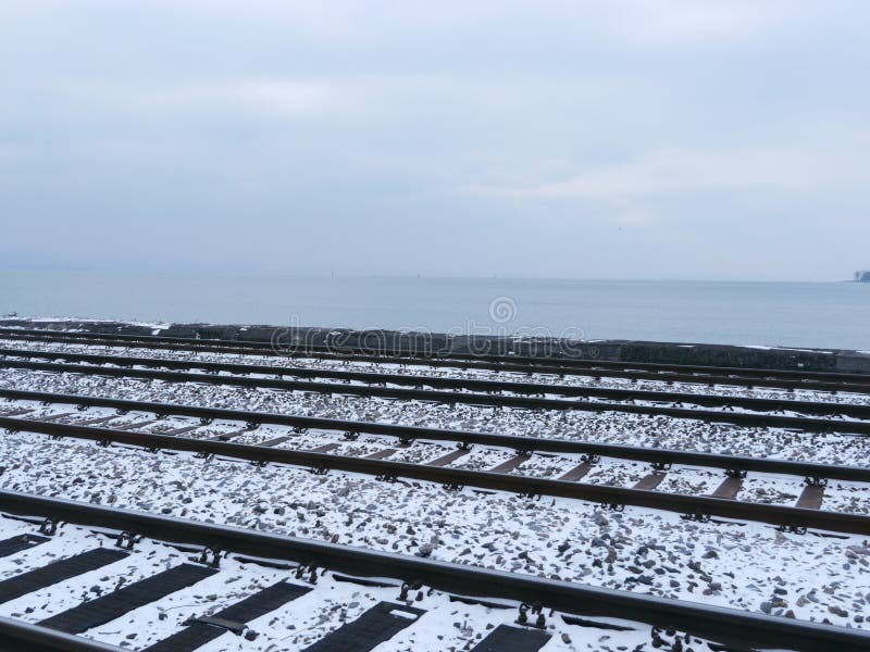 Track in the snow stock image. Image of fresh, frozen - 167527147