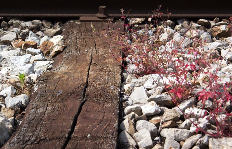 Train Track Wood Planks Close Up Stock Photos - Free & Royalty-Free ...