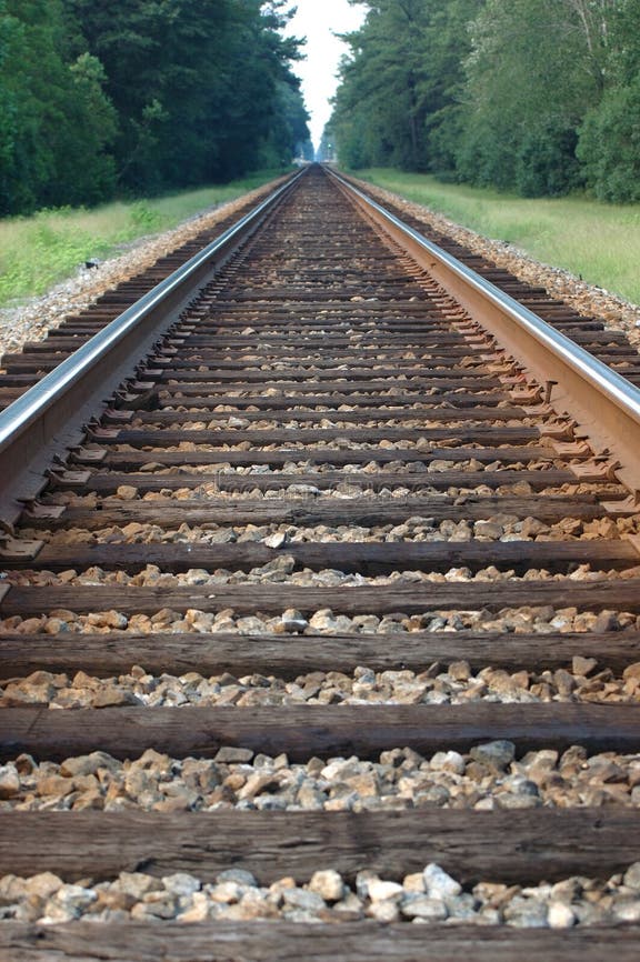 Train Tracks 1 stock photo. Image of railroad, train, trees - 204764
