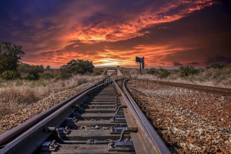 Train tracks stock photo. Image of tracks, trees, crossing - 269223298