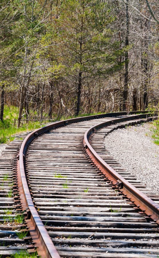 Train Tracks Curving Right into Trees. Stock Photo - Image of rail ...
