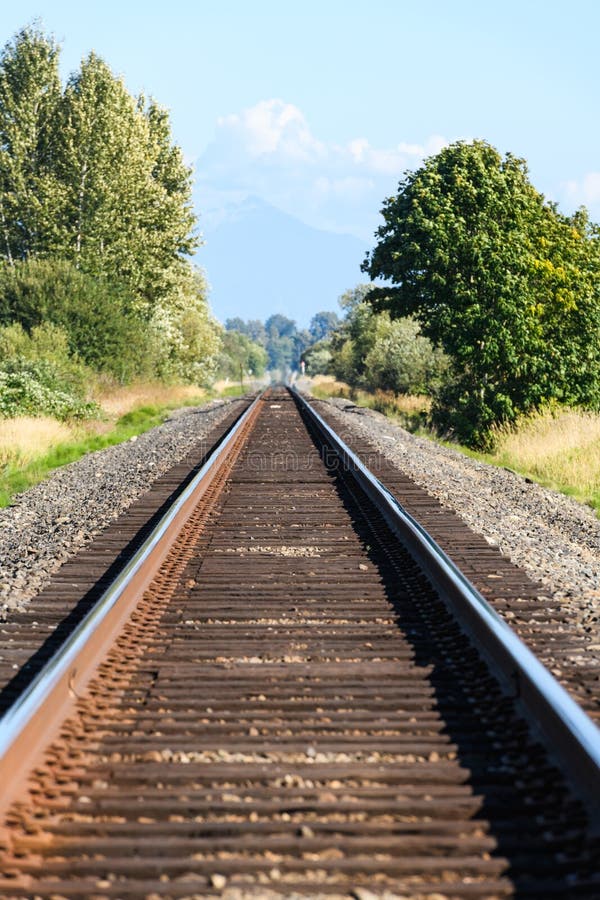 Train Tracks Disappearing into the Distance Stock Photo - Image of line ...