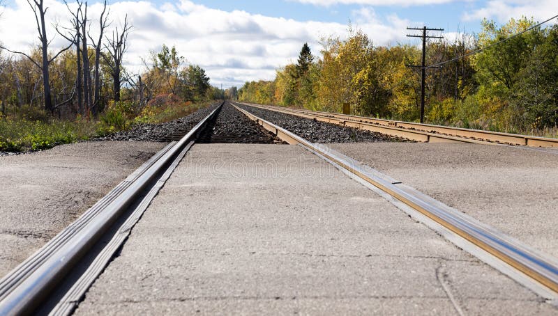 Train Tracks Edged by Trees. Stock Photo - Image of distance, rails ...