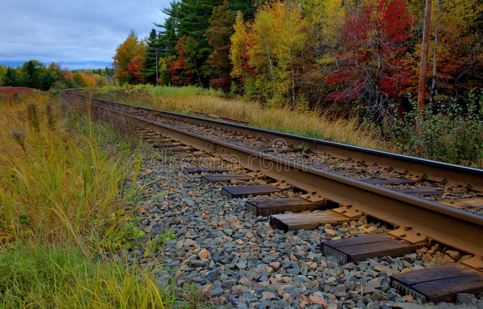 Train Tracks in Fall stock photo. Image of steel, rural - 21716488