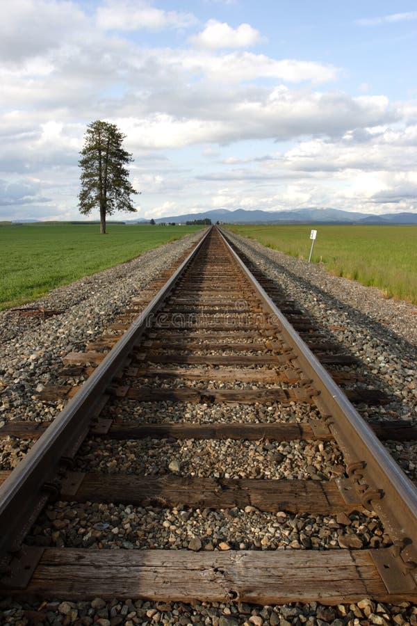 Train Tracks through the Field. Stock Image - Image of path, green: 5393327