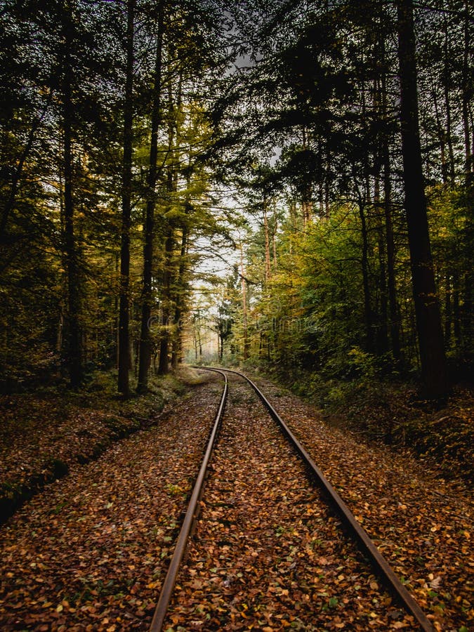 Train Tracks through a German Forest in Autumn Stock Image - Image of ...