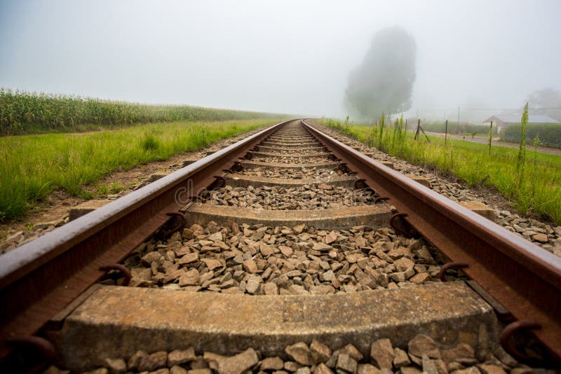 Train Tracks stock photo. Image of forrest, choice, path - 50288284