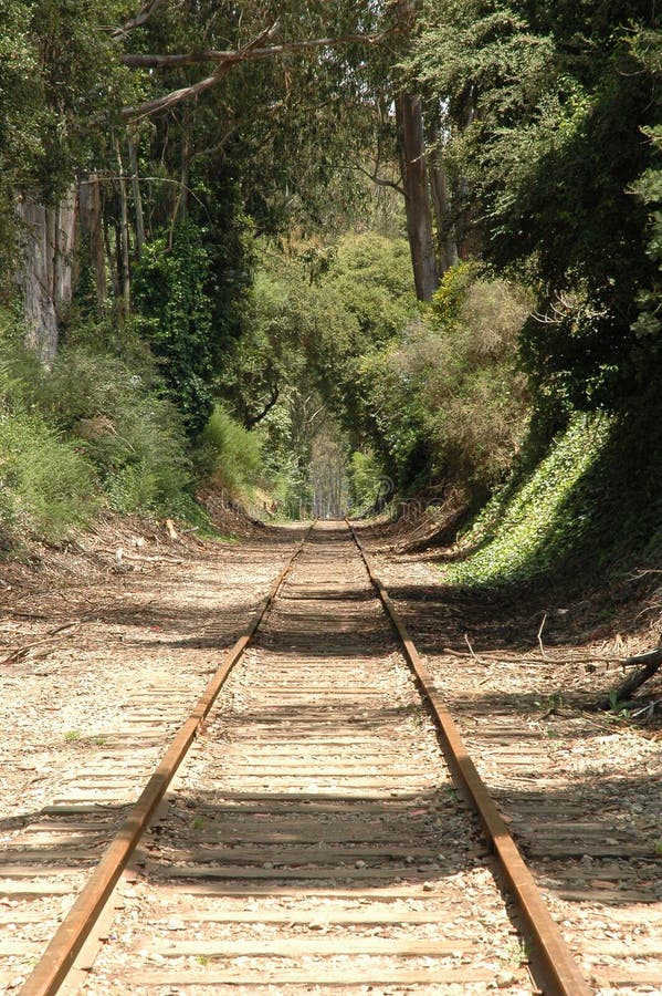 Train Tracks Going into Distance Stock Photo - Image of outdoors, sunny ...