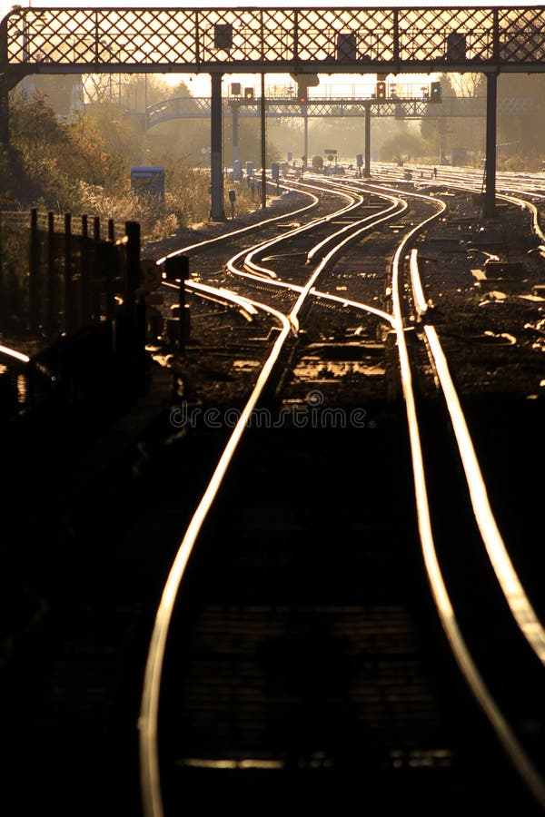Long Train Tracks at Sunset Stock Photo - Image of steel, scene: 299990564