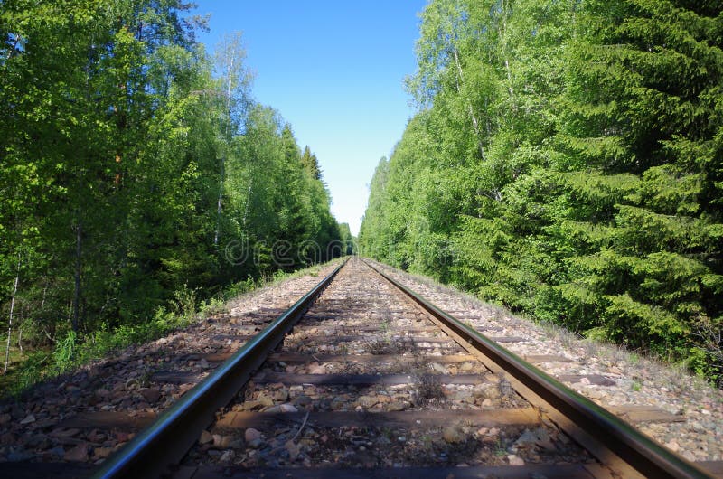 Train tracks in the forest stock image. Image of road - 117374391