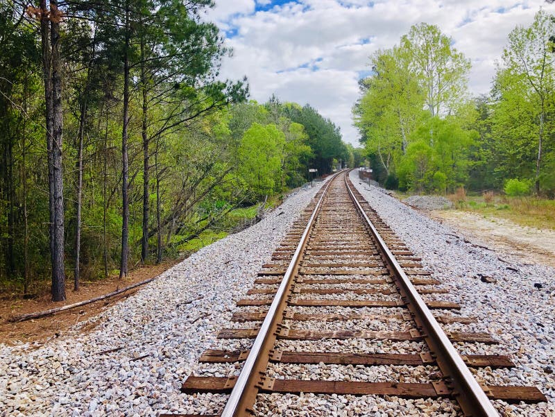 Train Tracks through Nature Stock Image - Image of train, nature: 143539485