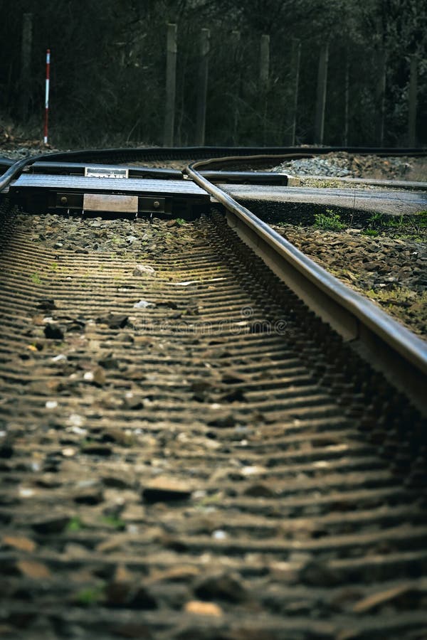 Train tracks in nature stock image. Image of locomotive - 283651355
