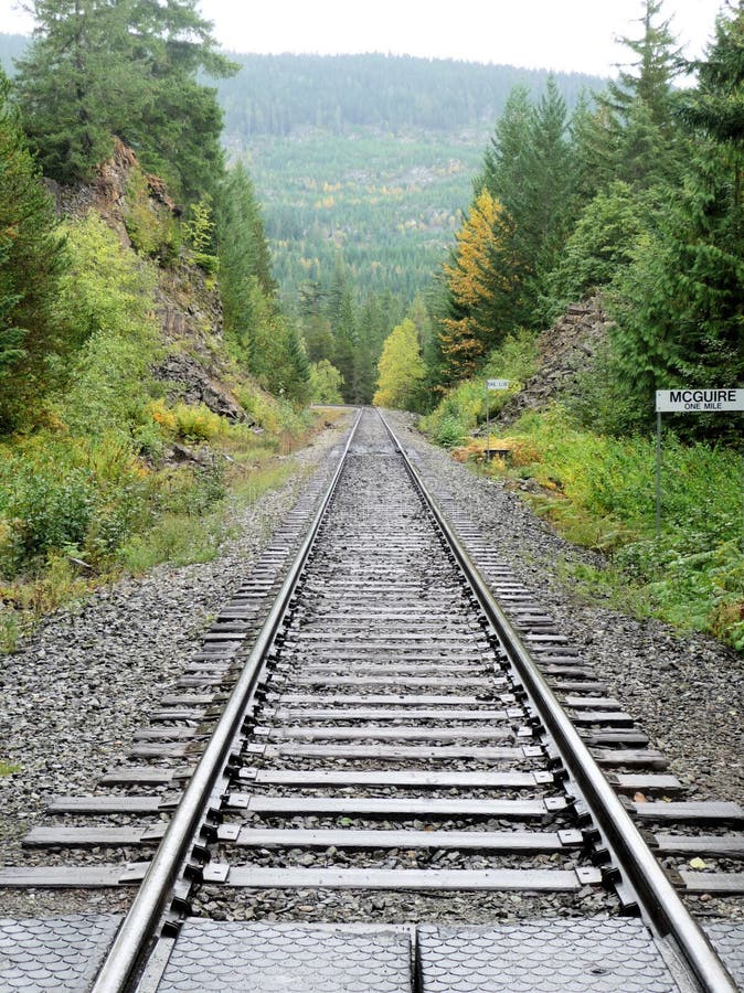 Straight Railroad Tracks Disappearing In The Distance Stock Image ...