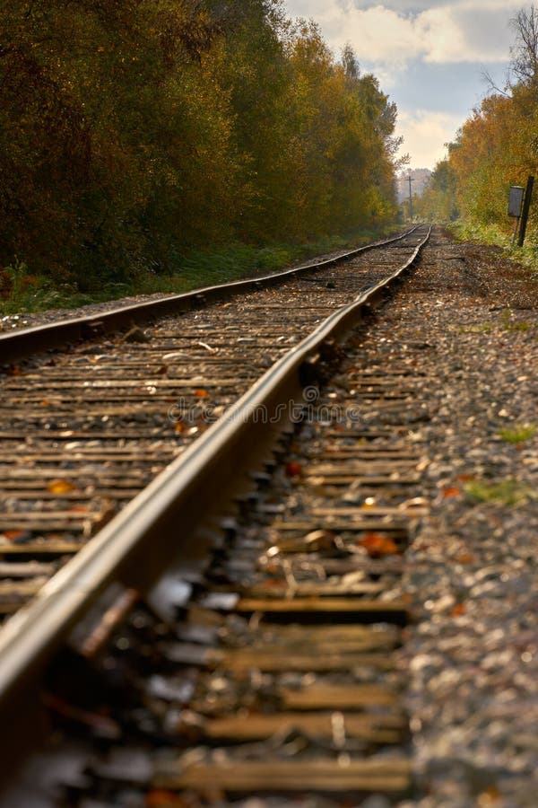 Train Tracks and Autumn Leaves Vertical Stock Image - Image of vertical ...