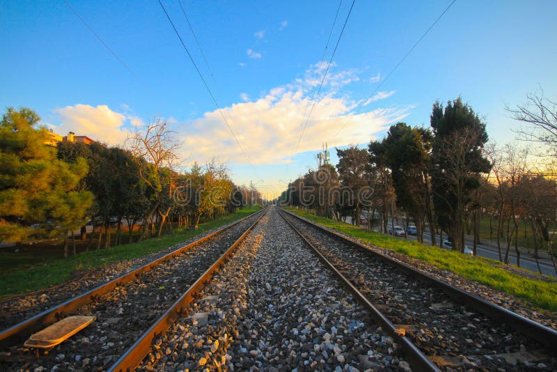 Train Tracks between Symmetrical Trees Stock Photo - Image of rail ...