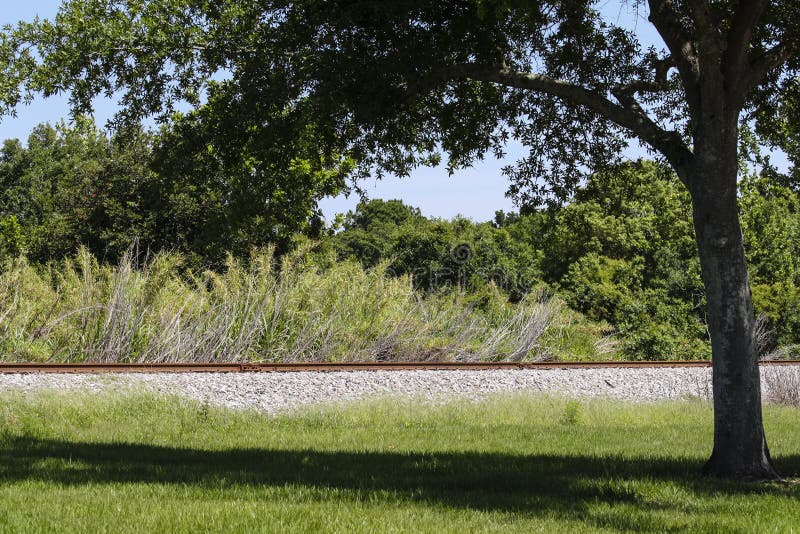 Train Tracks Tree stock photo. Image of transport, rocks - 41187808