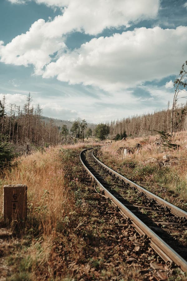 Train Tracks with Trees and Grass on Both Sides Stock Photo - Image of ...
