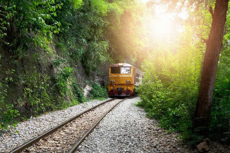 The Train on the Train Tracks and the Trees with the Sunset Stock Image ...