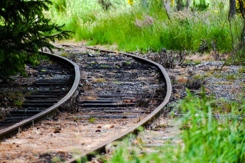 Train tracks in the trees stock image. Image of waterway - 203170417
