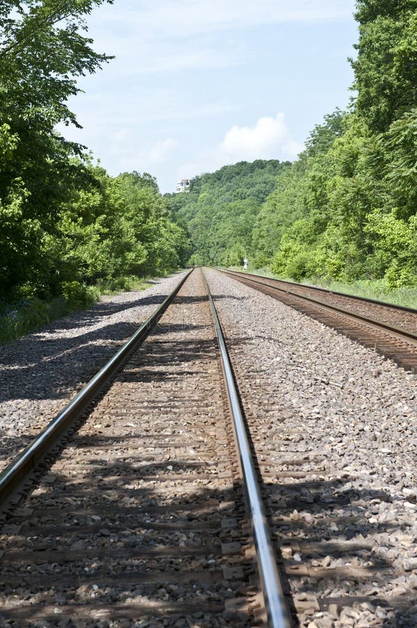 Train Tracks through the Woods Stock Photo - Image of gravel, blue ...
