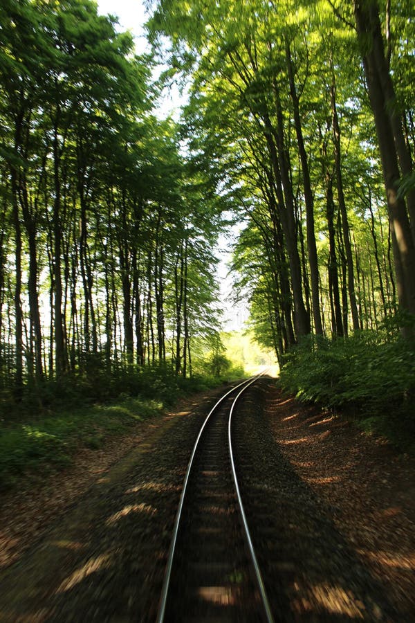 Train tracks in the woods stock photo. Image of steam - 94464934