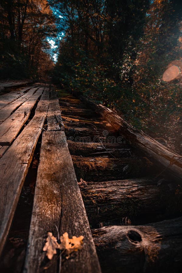 A Train on a Train Track with Trees in the Background Stock Image ...