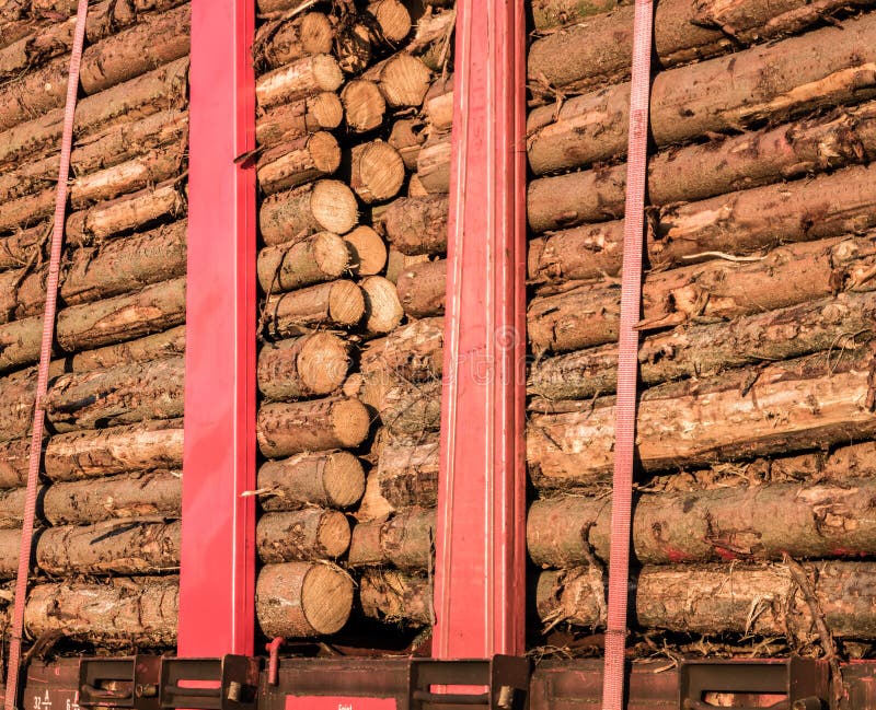 Train with Tree Trunks Symbolic Stock Photo - Image of carriage ...
